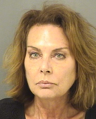 MERYL ROBIN HALPERIN Files, MERYL ROBIN HALPERIN Info, Records For ...